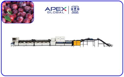 China 380V/50Hz Computer Control Intelligent Plum Sorting Machine for sale