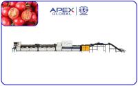 China 99.9% Accurate Automatic Cherry Tomato Sorting Machine PLC Control for sale