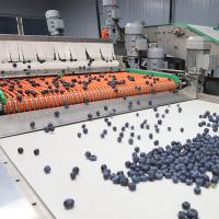 China Efficient Stainless Steel Blueberry Sorting Machine 380V / 50Hz For Large Scale Sorting for sale