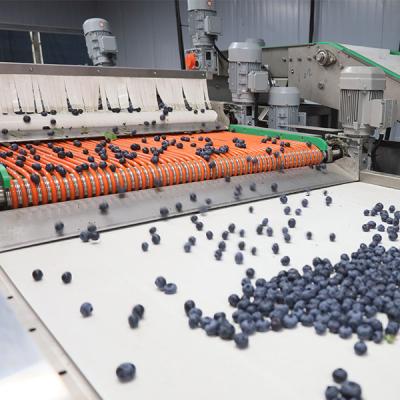 China Efficient Stainless Steel Blueberry Sorting Machine 380V / 50Hz For Large Scale Sorting for sale