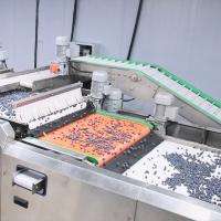 China Automatic Operation Efficient Fruit Sorting Machine For Blueberry for sale