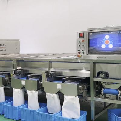 China CE 1000kg Capacity Pistachio Sorting Machine With 360° Non-Blind Area Inspection for sale