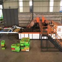 China AI Deep Learning Orange Sorting Machine Up To 50 Discharge Ports To Separate Grade Size And Weight for sale