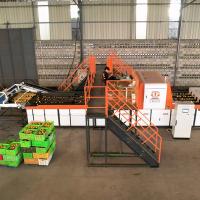 China Fruit Orange Sorting Machine Integrated External Inspection And Internal Detection for sale