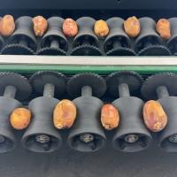 China Seamless Integration Date Sorting Machine With State Of The Art Technology for sale