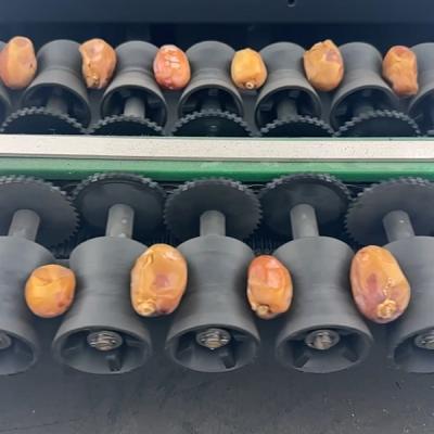 China Seamless Integration Date Sorting Machine With State Of The Art Technology for sale