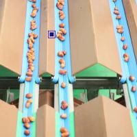 China Size Classification 2.0 Tons Per Hour 8-Lane Palm Dates Sorting Machine for sale