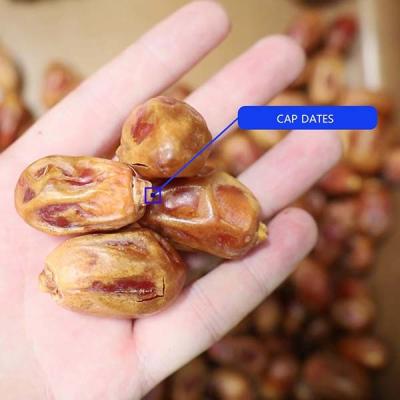 China 360° Defect Inspection 1.4 Tons Per Hour 6-Lane Palm Dates Sorting Machine for sale