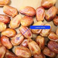 China 8-Lane Palm Dates Sorting Machine AI Deep Learning Size Sorting 2.0 Tons per Hour for sale