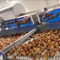 China High Capacity AI Powered Date Sorting Machine 360° Rotating Scanning 8 Lanes + 8 Outlets 2.4-2.6T/H for sale
