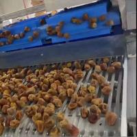 China AI Powered Date Sorting Machine Deep Learning Technology 8 Lanes+8 Outlets , 2.4-2.6T/H,360° Rotating Scanning for sale