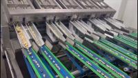 China AI Powered Cashew Sorting Machine Deep Learning Technology with 12 Lanes+12 Outlets , 1000kgs/H,360° Rotating Scanning for sale