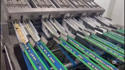 China AI Powered Cashew Sorting Machine Deep Learning Technology with 12 Lanes+12 Outlets , 1000kgs/H,360° Rotating Scanning for sale