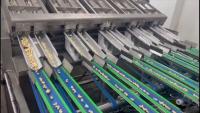 China 12 Lanes 12 Outlets Cashew Sorting Machine 1000kgs/Hour with 360° Rotating Scanning and Deep Learning Technology for sale