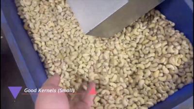 China 304 SS Stainless Steel High Capacity Cashew Sorting Machine with 12 Smart Outlets and AI-Powered Grading System for sale
