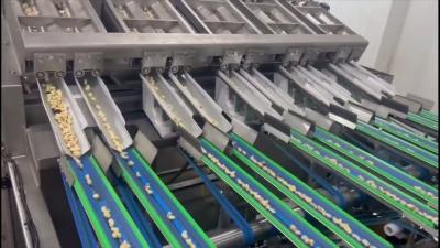 China State-of-the-Art Cashew Kernel Sorting Equipment with Full 360° AI-Based Defect and Grade Detection Capacity 470-670kgs/hour for sale