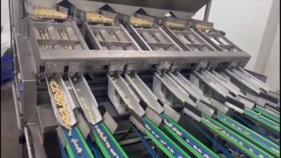 China High Capacity 8-Channel Conveyor Cashew Grading Machine with 8 Output Grades and Vietnam-Based Service Team for sale