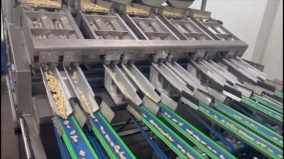 China 8-Lane Intelligent Cashew Grading Machine with AI Sorting and Custom Design Capability AC220V ±5% Power Supply for sale