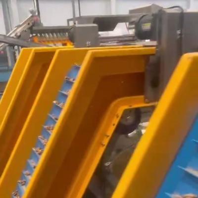China Deep Learning Powered Multi-Grade Walnut Kernel Sorting Machine 750kgs / Hour High Accuracy for sale