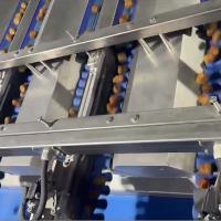China Intelligent Date Sorting Machine Featuring AI Deep Learning Food-Grade Safety Materials And Smart Multi-Exit Discharge for sale