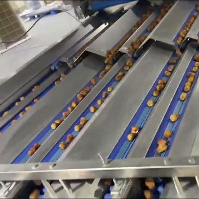 China AI Powered Date Sorting Machine With Intelligent Data Statistics System High-Speed Smart One-Key Start For Stable High-Yield Performance for sale