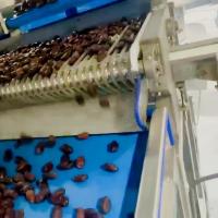 China Smart Date Sorting Machine Combining AI Deep Learning Food-Grade Construction Intelligent Multi-Mode  Large Capacity Output for sale