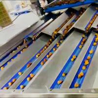 China Intelligent Date Sorting Machine With Smart 360° Rotational Scan Multi-Exit Discharge High-Speed Mode for sale