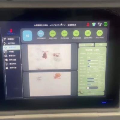 China Walnut Kernel Sorting Machine AI-Powered Industrial-Grade Stability Real-Time Monitoring For Intelligent Nut Processing for sale
