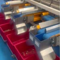 China Multi-grade Walnut Kernel Sorting Machine With Intelligent High Output Durable Industrial Sensors For Reliable Processing for sale