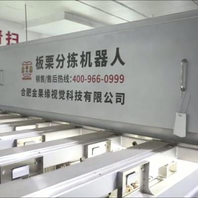 China Intelligent High Capacity Chestnut Sorting Machine 304 Stainless Steel Smart Durable Labor-Saving for Hassle-Free Sorting for sale