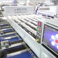 China Labor Saving 3.3 Tons per Hour Chestnut Sorting Machine with Deep learning Technology: Efficient, Labor-Saving, Doubled Benefits for sale