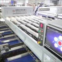China Experience Enhanced Efficiency with Our AI Powered, High Capacity, 304 Stainless Steel Chestnut Sorting Machine Featuring 8 Lanes + 8 Outlets for Optimized Processing. for sale