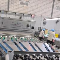 China High-capacity Dates Sorting Machine, High Output, 6 lanes+10 outlets, 1.8 Tons per hour, Food Grade for sale