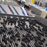 China High-capacity Dates Sorting Machine, High Efficiency, 6 lanes+10 outlets, 1.8 Tons per hour, Automatic System for sale