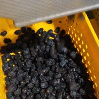 China Smart Dates Sorting Machine, Deep-learning AI, 6 lanes+10 outlets, 1.8 Tons per hour, High Performance for sale