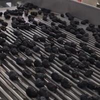 China Smart Dates Sorting Machine, AI Detection, 6 lanes+10 outlets, 1.8 Tons per hour, High Speed Mode for sale