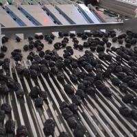 China High-capacity Dates Sorting Machine, High Performance, 6 lanes+10 outlets, 1.8 Tons per hour, Multi-exit for sale