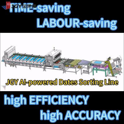 China AI-Powered High-Precision AJwa Medjool Date Sorting Machine: 8 lanes Capacity 2.6Tons per Hour 304SS for sale