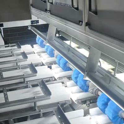 China Walnut Kernel Sorting Machine With AI Deep Learning Neural Networks And High Resolution Industrial Cameras For Multi Grade Shell Separation for sale