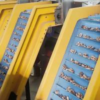 China Advanced Walnut Kernel Grading Machine with High Frequency Solenoid Valves and Shadowless Lamp Illumination for Precision Nut Processing for sale