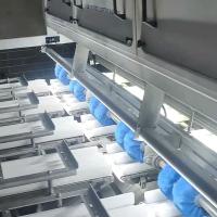 China High Capacity Nut Kernel Color Sorting Machine Utilizing High Frequency Linear Vibrators And Real Time Cleaning Systems For Optimal Kernel Integrity for sale