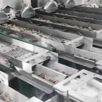 China 8 Lanes High Speed Nut Kernel Color Sorting Machine with Servo Drive Technology for 560-720kgs/H Capacity for sale