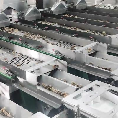 China 8 Lanes High Speed Nut Kernel Color Sorting Machine with Servo Drive Technology for 560-720kgs/H Capacity for sale