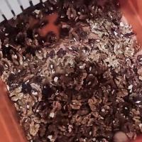 China Robust Walnut-Kernel Separating Machine Featuring 8 Lanes Conveyor System And Teflon Coated Belts For Durable Multi Grade Nut Sorting Operations for sale