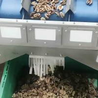 China Modern 4 Lanes Walnut Kernel Sorting Machine Featuring Double Side Scanning And One Key Operation For Automated Defect Removal In Nut Factories for sale