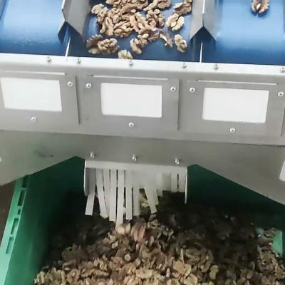 China Modern 4 Lanes Walnut Kernel Sorting Machine Featuring Double Side Scanning And One Key Operation For Automated Defect Removal In Nut Factories for sale
