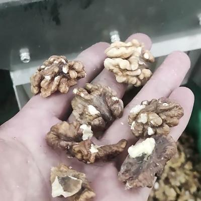 China Advanced 4 Lanes Walnut Kernel Sorting Machine With High Resolution Vision And AI Centroid Algorithms For Precision Color And Shape Grading for sale
