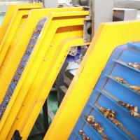 China Intelligent Walnut Kernel Sorting Equipment 8 Lane High Capacity Shadowless Vision System Nut Color Grader for sale
