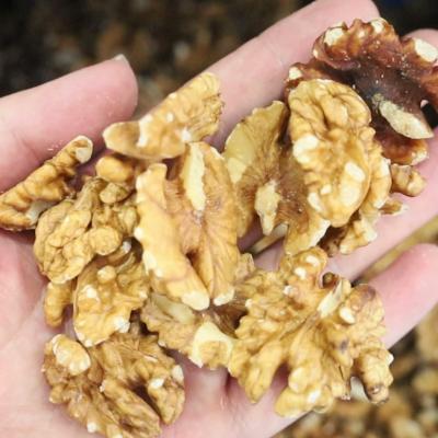 China Automated Walnut-Kernel Separating System High Frequency Solenoid Valve Industrial Vision Nut Precision Inspection Equipment for sale
