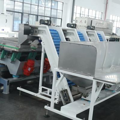 China Deep Learning Nut Kernel Color Sorting Equipment Multi-Angle Camera 8 Lane High Throughput Walnut Classifier with SS 304 for sale